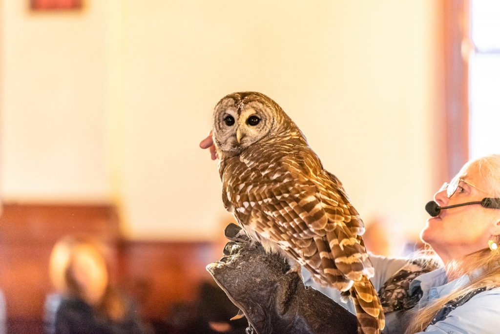 November 2019 Wildlife Column: Winter Around the Corner - Lincoln Land ...