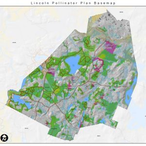 Action Plan - Lincoln Land Conservation Trust and Rural Land Foundation
