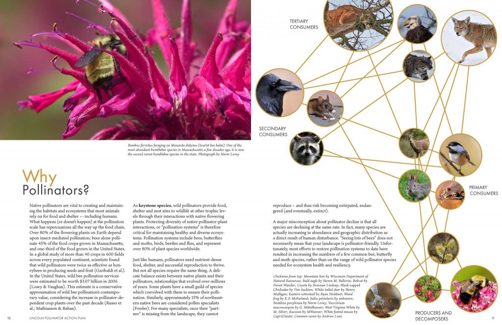 Action Plan - Lincoln Land Conservation Trust and Rural Land Foundation